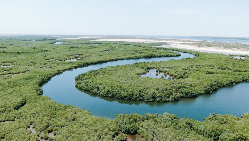 Wetlands Conservation India
