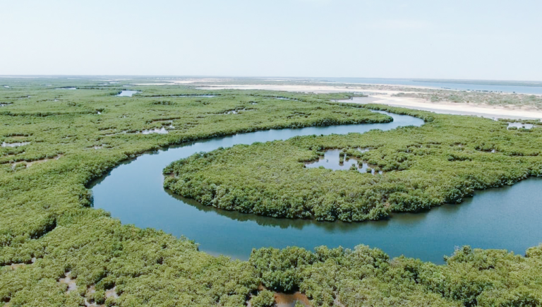 Wetlands Conservation India