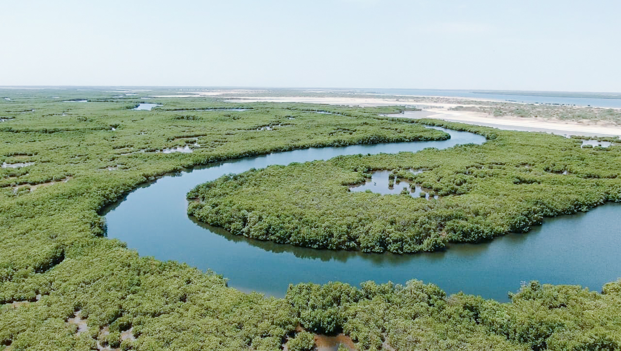 Wetlands Conservation India